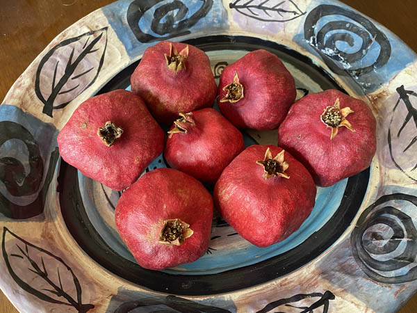 The Poms Are Here! The Poms Are Here! | Casa Festiva